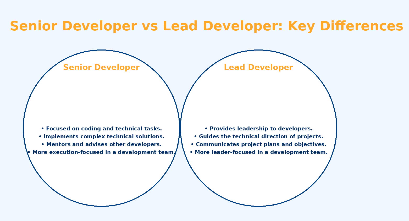 Lead or Senior Software Engineer: Their Role Explained